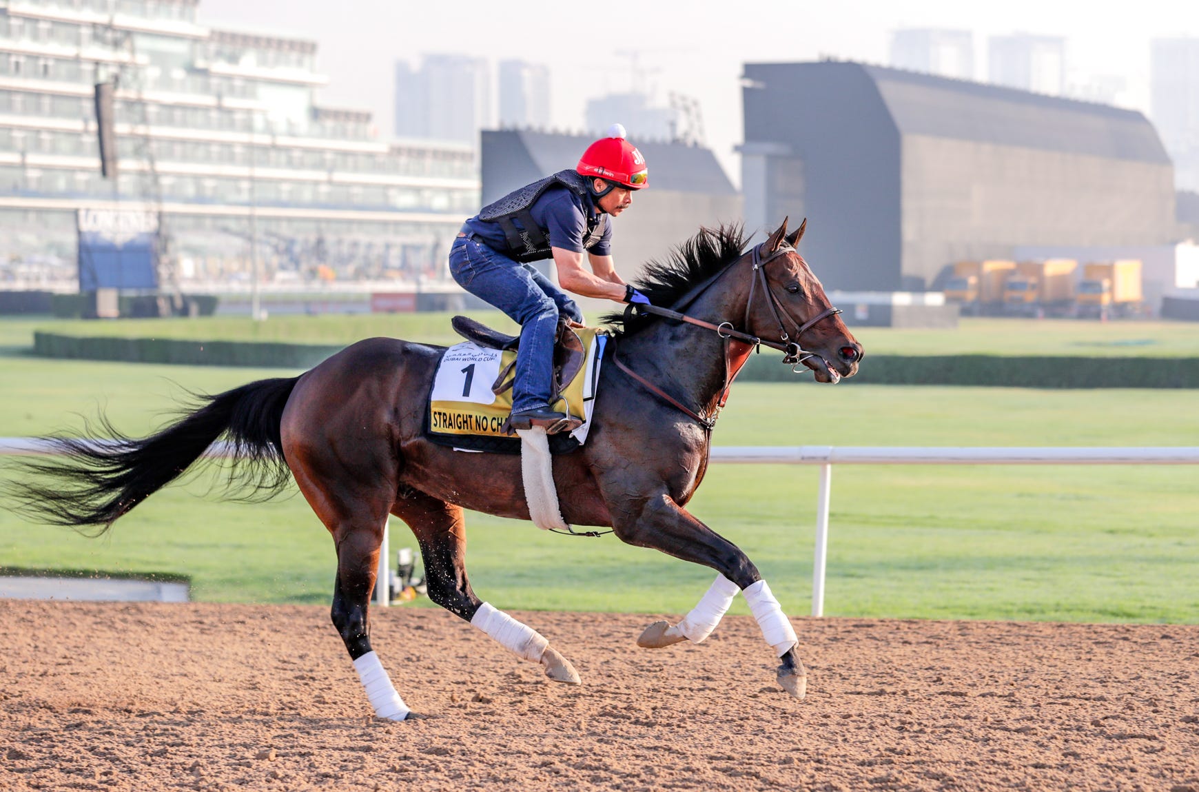 Straight No Chaser back in California after mixed Middle Eastern adventure